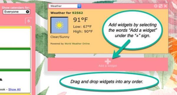 Using Homeschool Planet Widgets